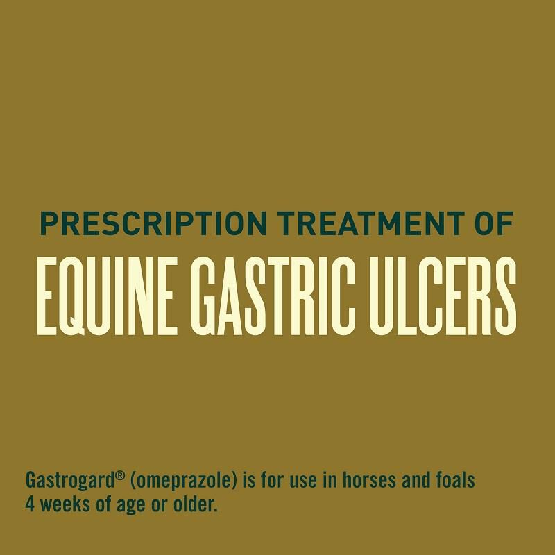 Merial GastroGard for Horses with Ulcers, 7 syringes