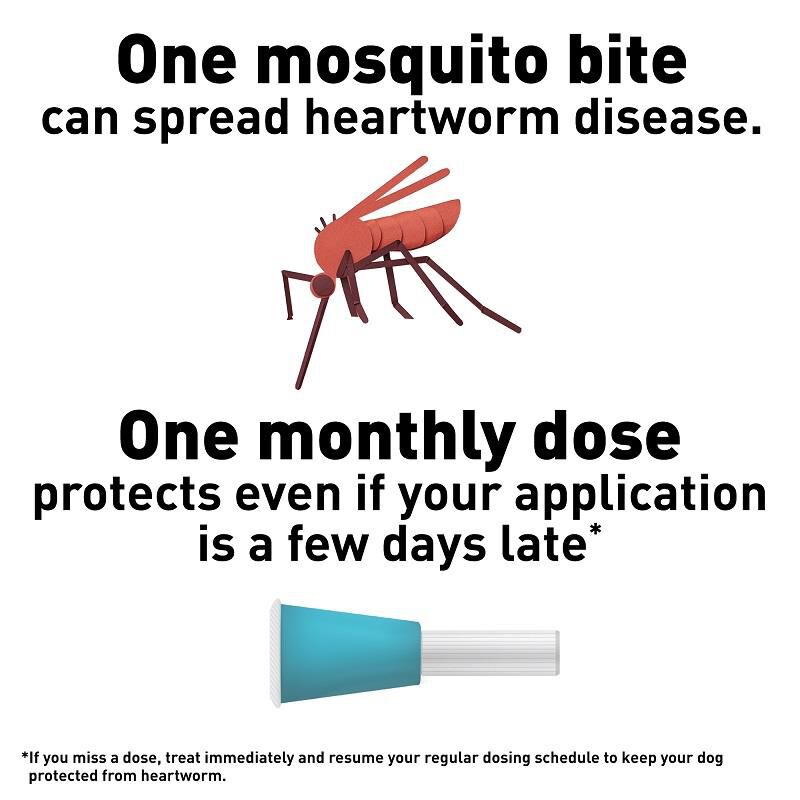 Advantage Multi for Dogs | Free 2 Day Shipping | AKCPetRx.com