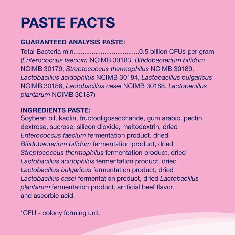 Proviable KP Paste + 10 Caps for Dogs and Cats | Free 2 Day Shipping ...