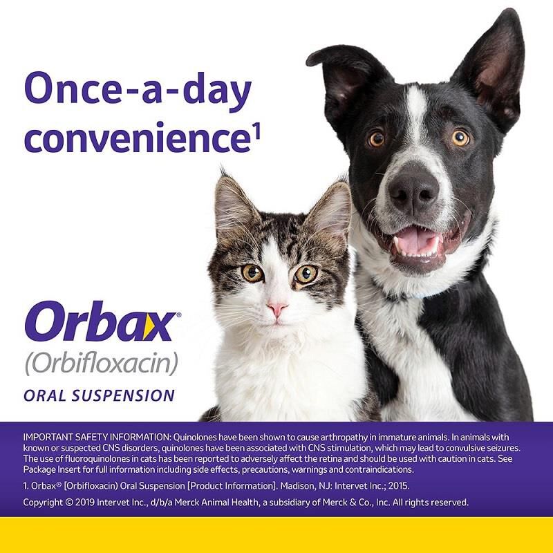 Orbax Oral Suspension 20 Ml for dogs and cats | AKC Pet Pharmacy & Pet ...