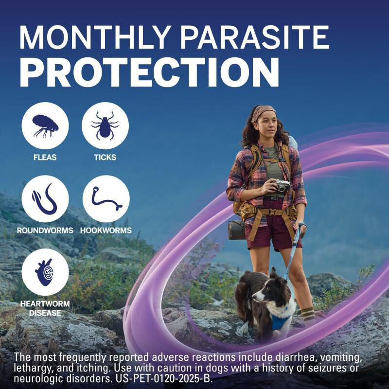 NexGard PLUS Chewables for Dogs