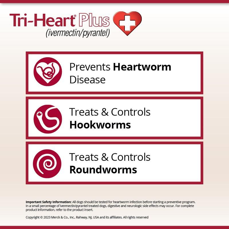 Tri-Heart Plus Chewable Tablets | Free 2 Day Shipping | AKCPetRx.com