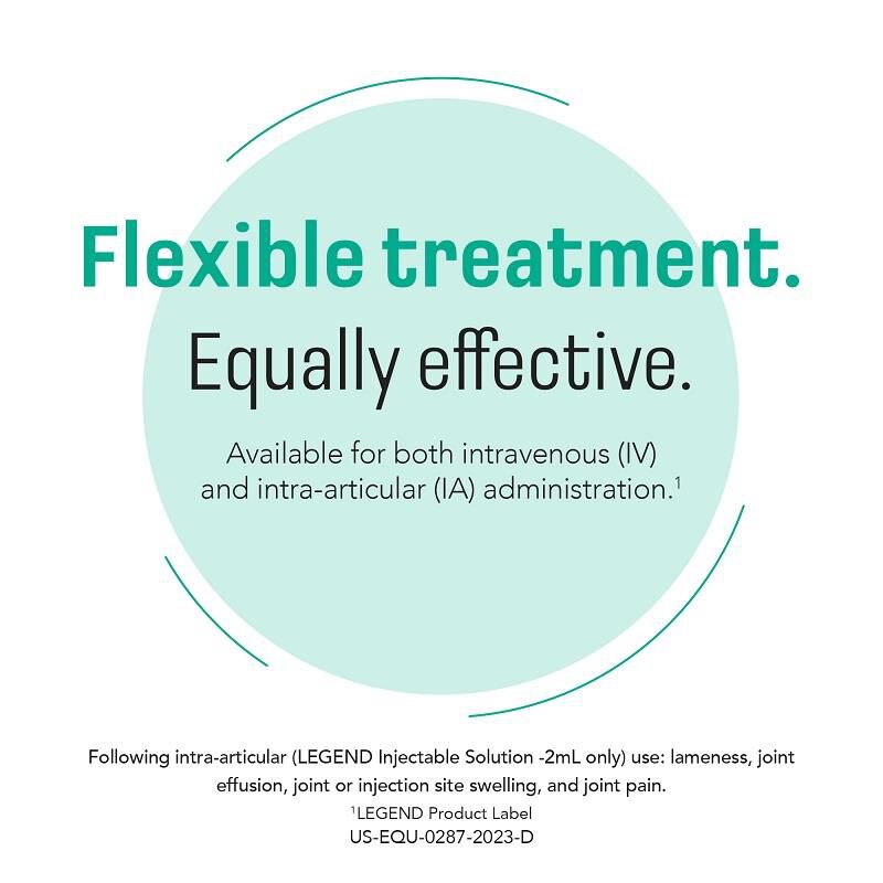 Legend 10 Mg/Ml 4 Ml injection vial | Legend Solution for horses