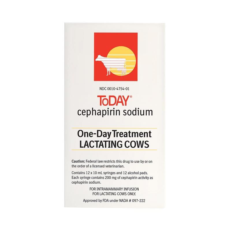 ToDAY Mastitis Treatment for Lactating Cows, Box of 12 x 10 ML Syringe ...