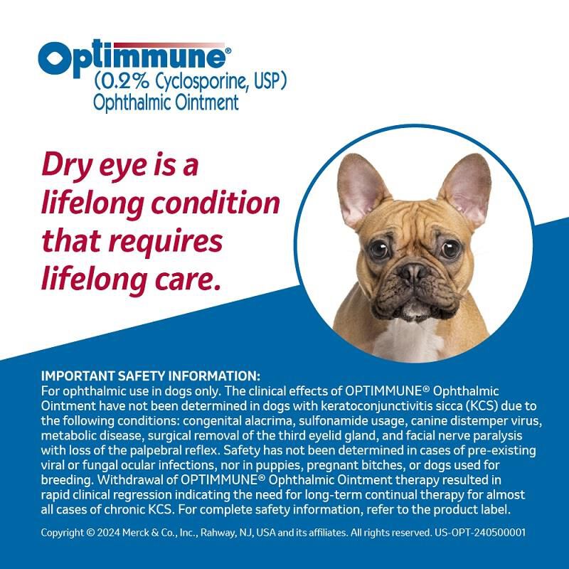 Merck Animal Health Optimmune Ophthalmic Ointment 0.2% for Dogs with ...