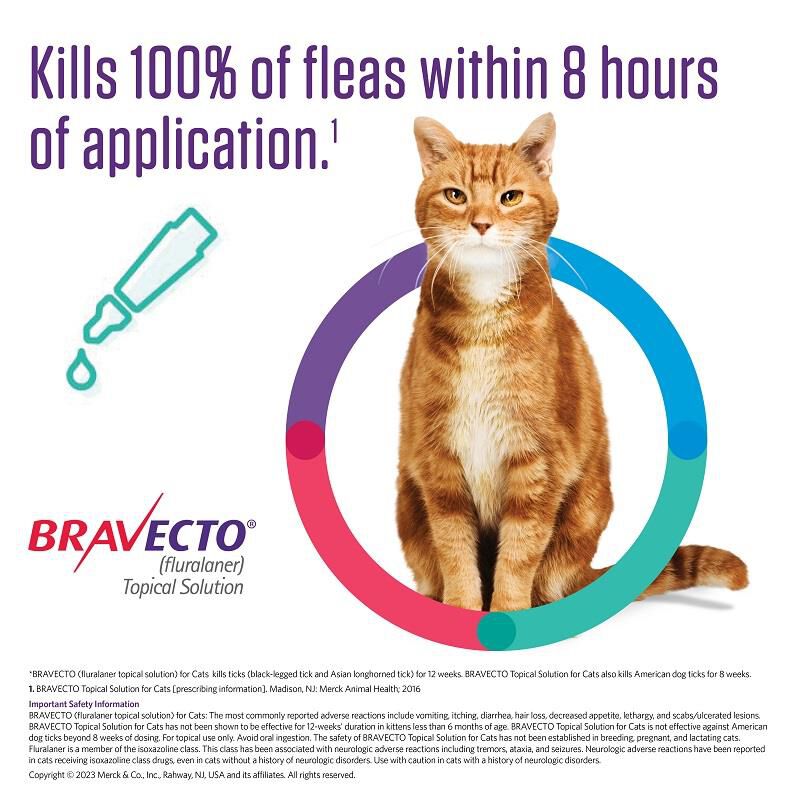 Bravecto Topical Solution for Cats | Free 2 Day Shipping | AKCPetRx.com