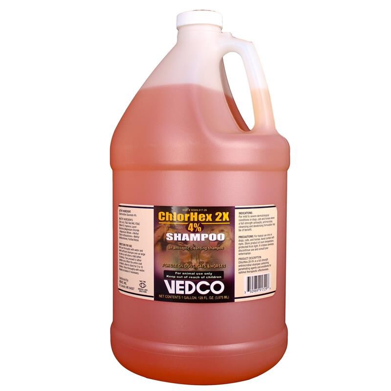 Vedco ChlorHex 2X 4% Shampoo for Dogs, Cats, and Horses for Skin ...
