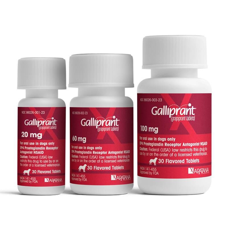 Galliprant (Grapiprant) Flavored Tablets | Free 2 Day Shipping ...