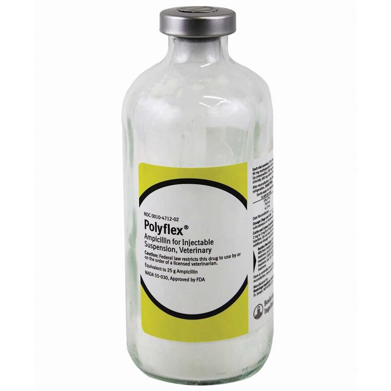 Equine Polyflex antibiotic Injection | Buy Polyflex for horses