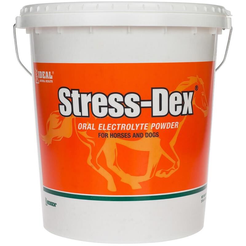 Stress-Dex Electrolyte Powder 12 lbs | AKCPetRx.com