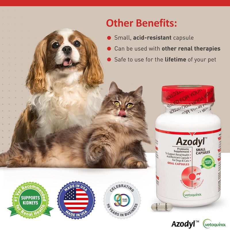 Vetoquinol Azodyl Small Caps for Cats and Dogs