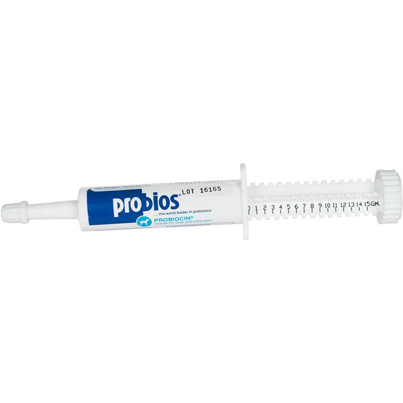 Bomac Vets Plus Probiocin Oral Gel for Pets for Dogs and Cats with ...