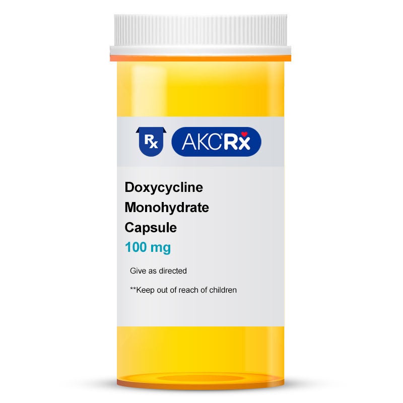 Doxycycline Monohydrate 100 Mg capsules for cats, dogs and horses