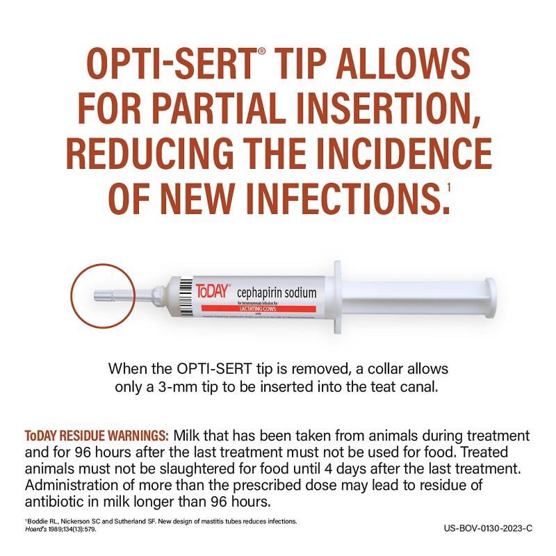 ToDAY Mastitis Treatment for Lactating Cows, Box of 12 x 10 ML Syringe ...