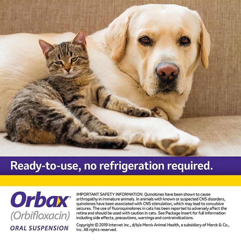 Orbax Oral Suspension 20 Ml for dogs and cats | AKC Pet Pharmacy & Pet ...