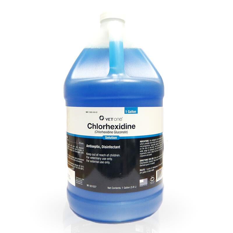 Buy Chlorhexidine Disinfectant Gallon for dogs and horses online