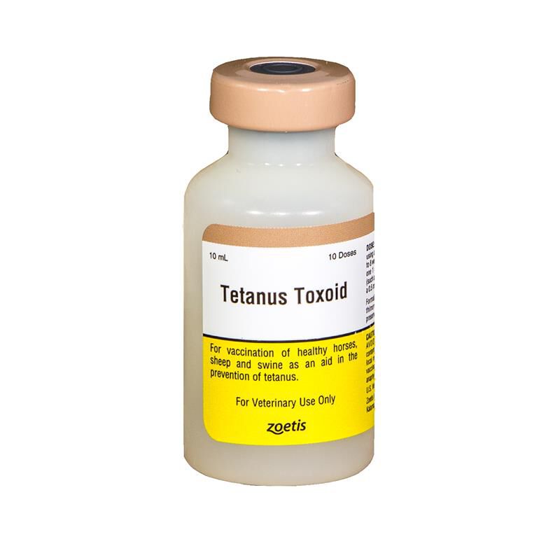 Tetanus Toxoid 10 ds Vial | AKCPetRx.com