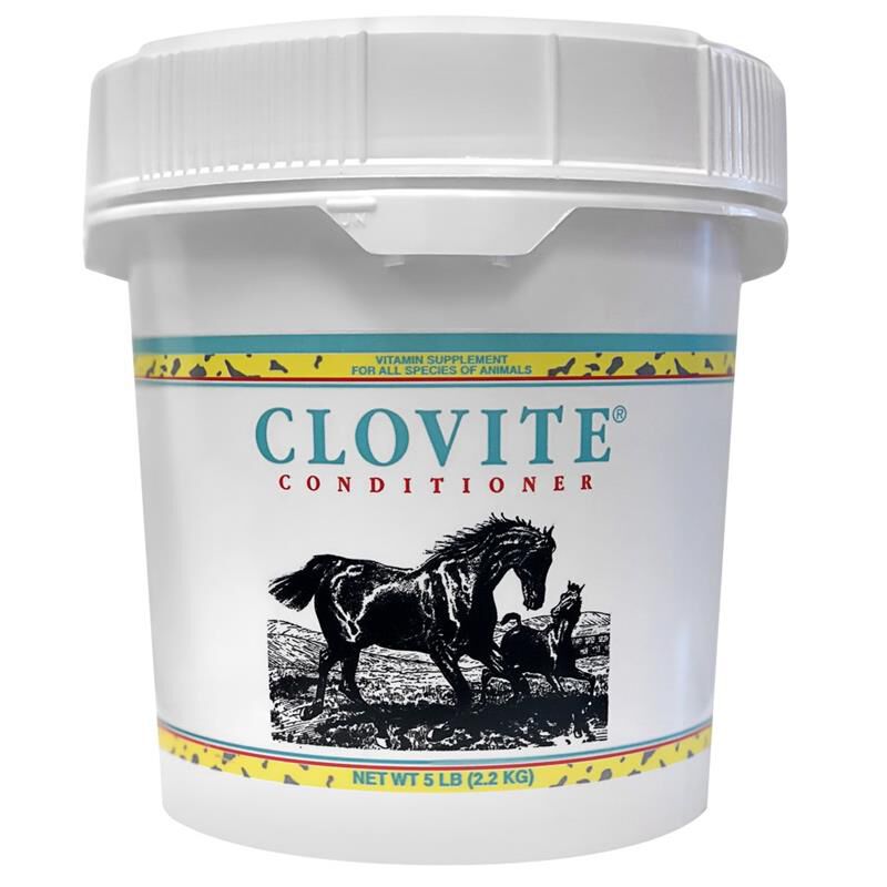 CLOVITE | Free 2 Day Shipping | AKCPetRx.com