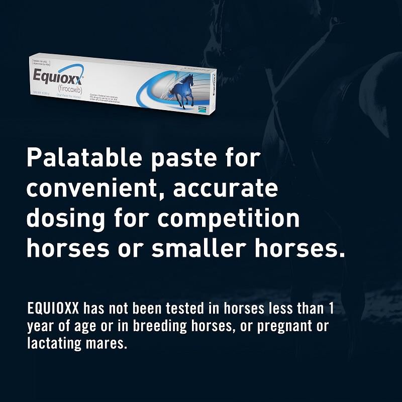 Equioxx Oral Paste for horses | Buy Equioxx Paste Dosage