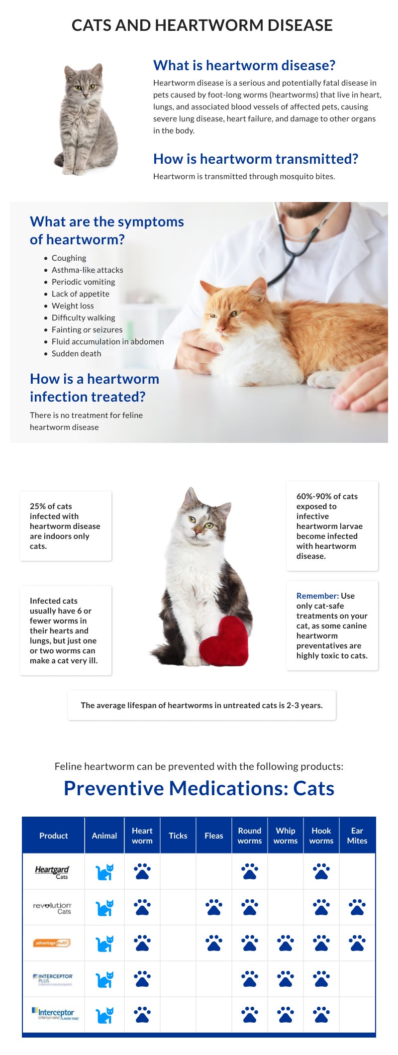 Cat Heartworm Chart